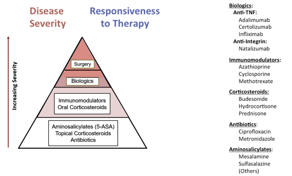 Inflammatory Bowel Disease (IBD) Awareness - Dr Varsha