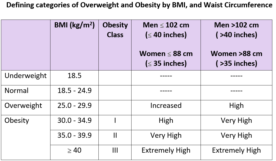 Body Mass Index BMI And Obesity Health Impact And Risks Body Mass Index BMI And Obesity Health Impact And Risks