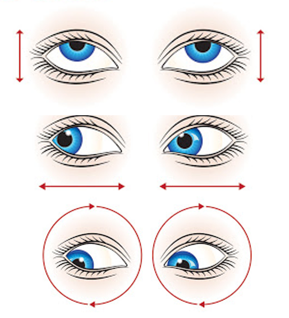 Eye Muscle Weakness 3 Simple Eye Exercises And Tips Eye Muscle Weakness 3 Simple Eye Exercises And Tips
